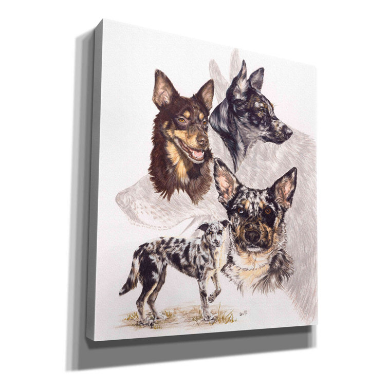 Red Barrel Studio® Epic Graffiti 'Australian Koolies' By Barbara Keit Australian Koolies On ...